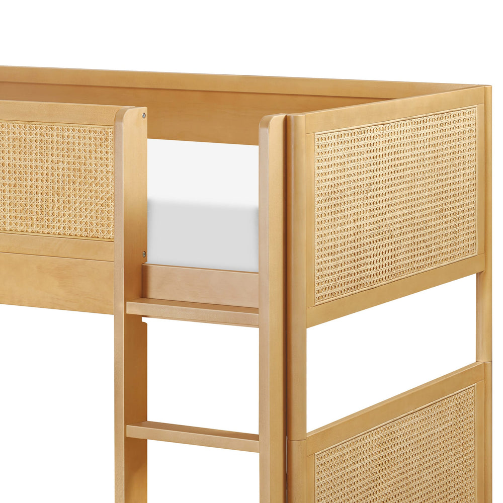 Bondi Cane Convertible Bunk Bed - Honey – CLÉMENT