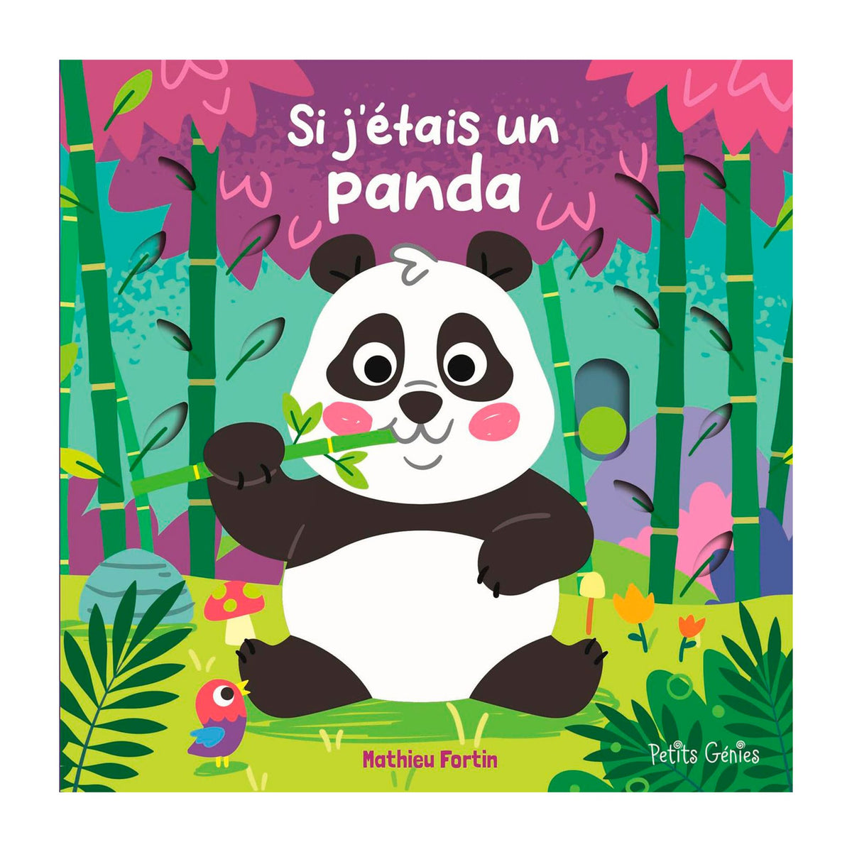Si J'étais Un Panda – CLÉMENT