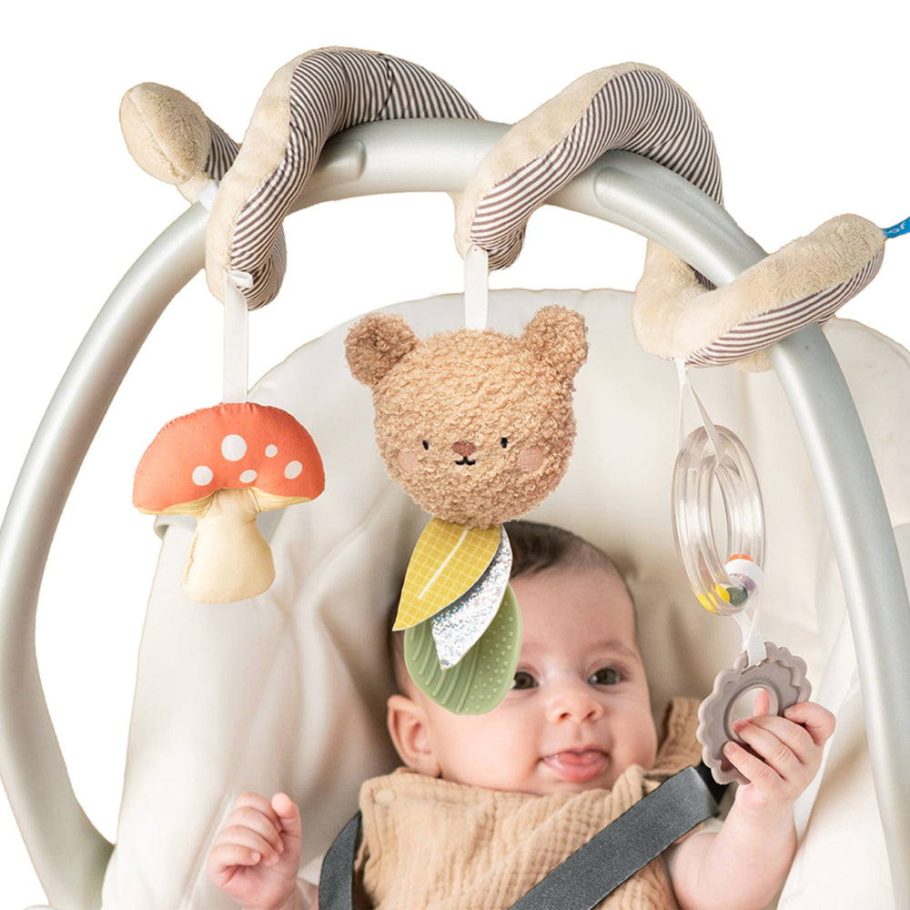 Bear Hugs Spiral – CLÉMENT